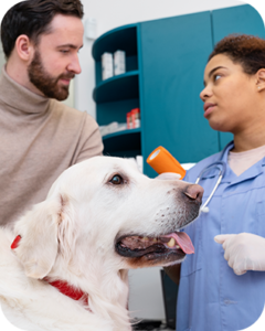 Surrey Vet Clinic | 108 Avenue Animal Hospital